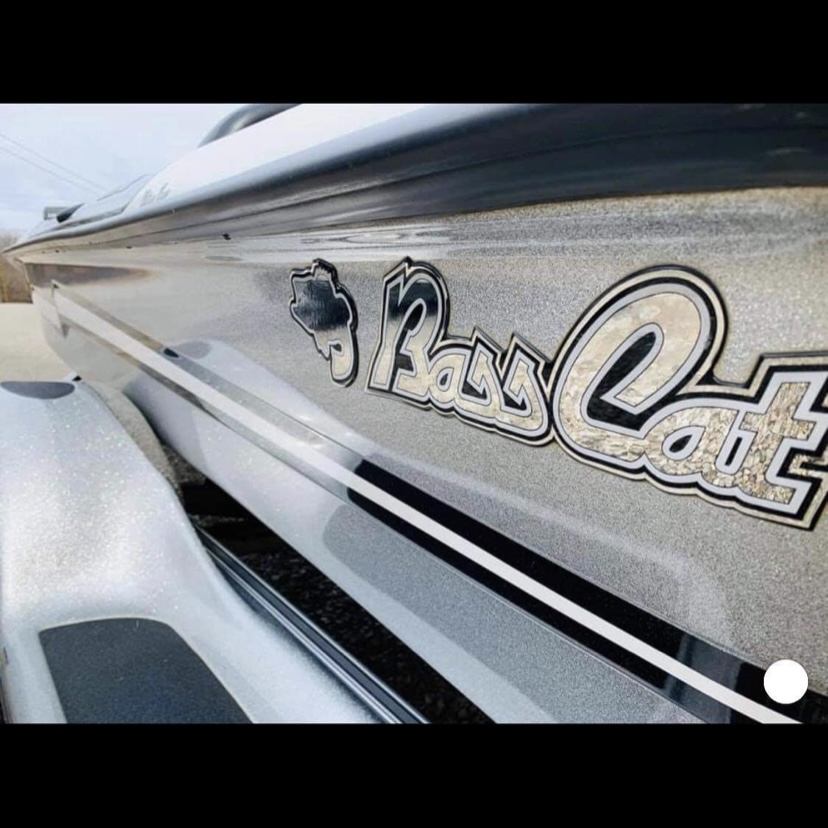 Topic: 2016 Sabre Vision w/2016 175 Mercury ProXs | Bass Cat